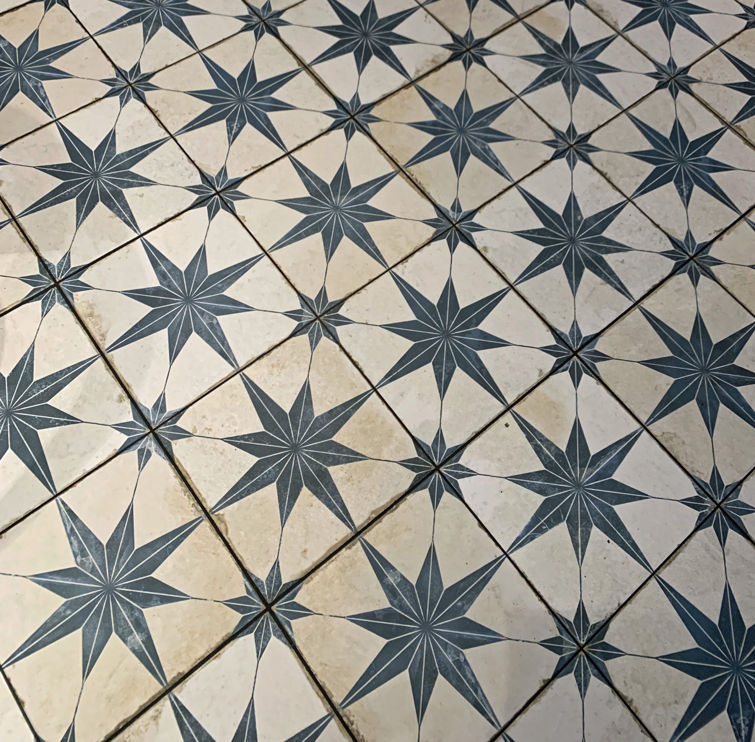 Understanding ROSE MARY