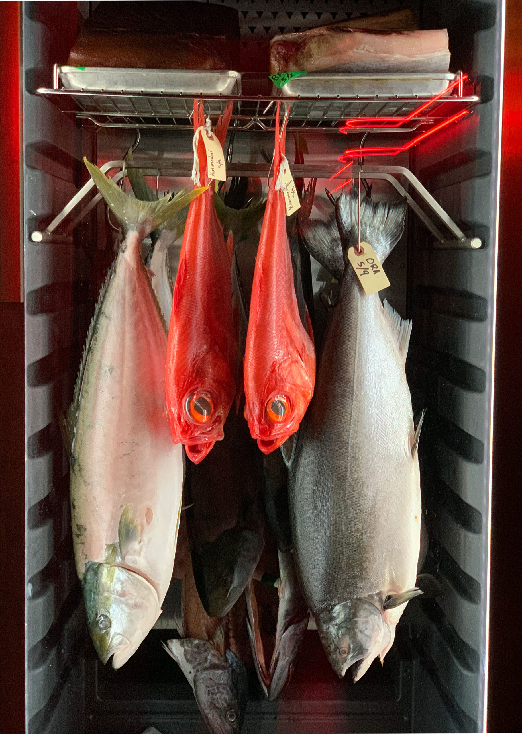 Understanding JINSEI MOTTO