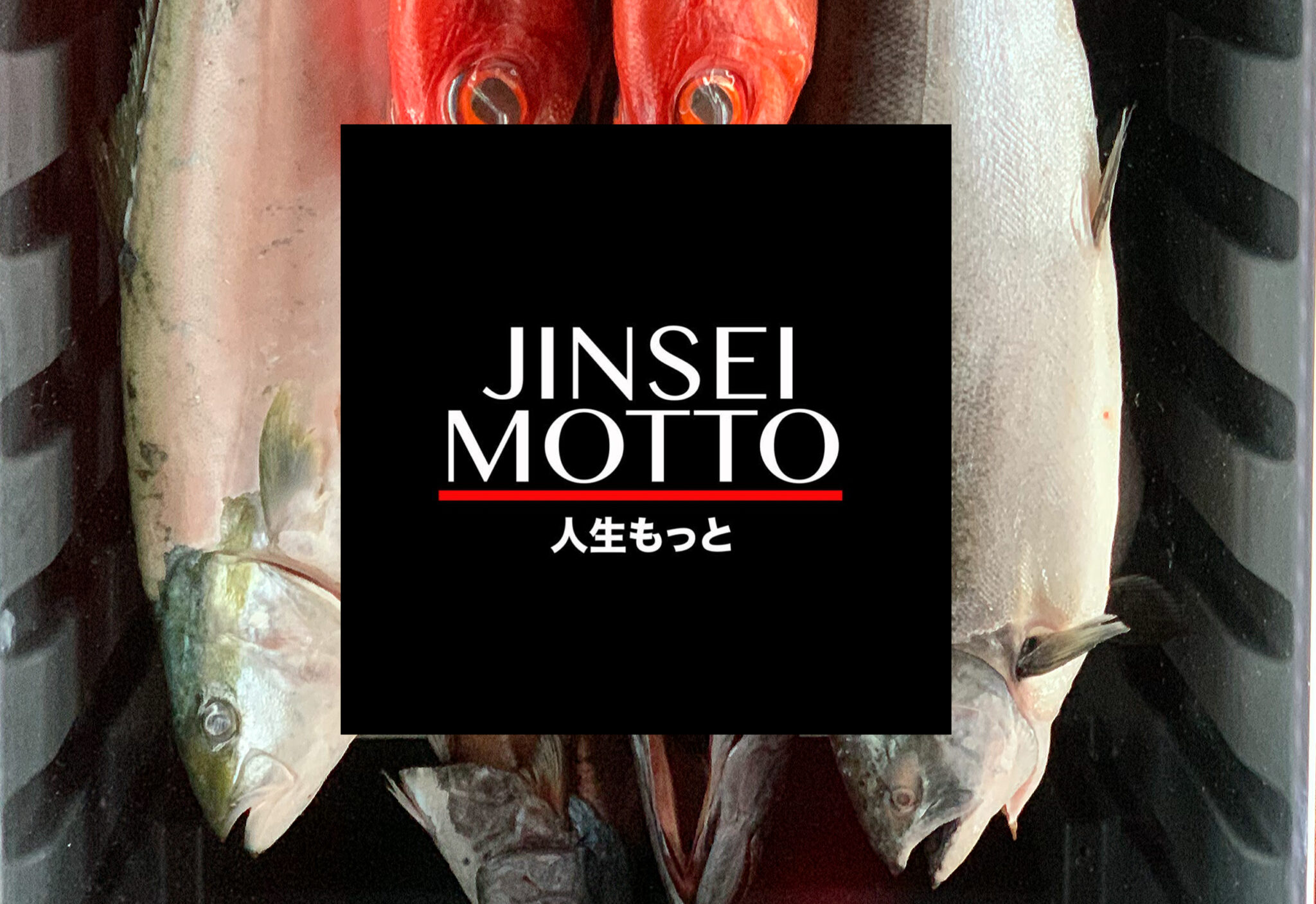 Understanding JINSEI MOTTO