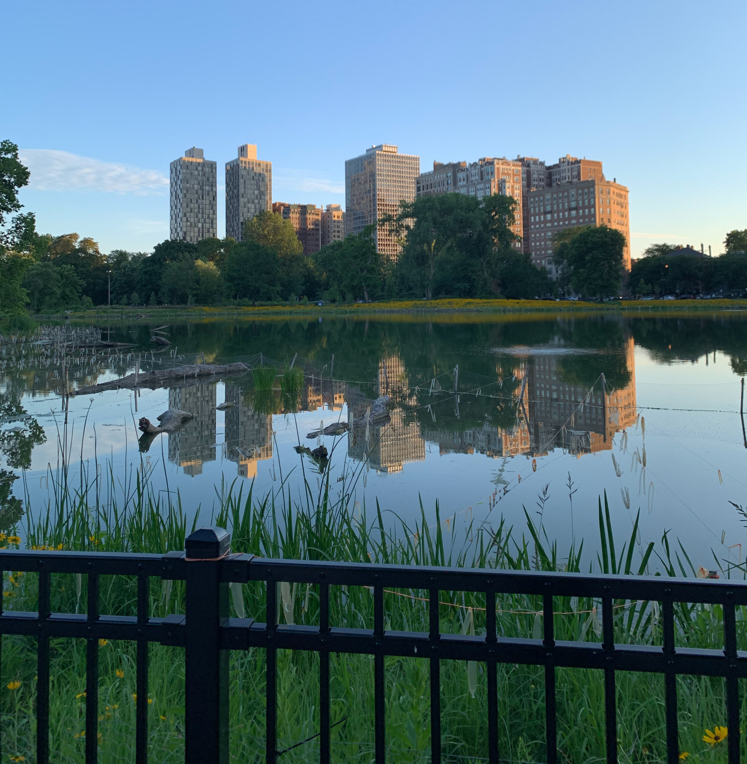 Understanding NORTH POND