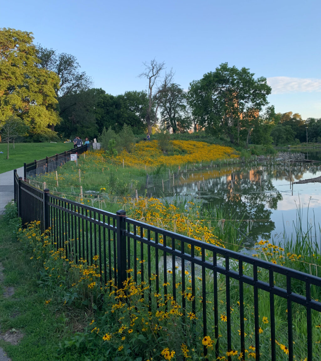 Understanding NORTH POND