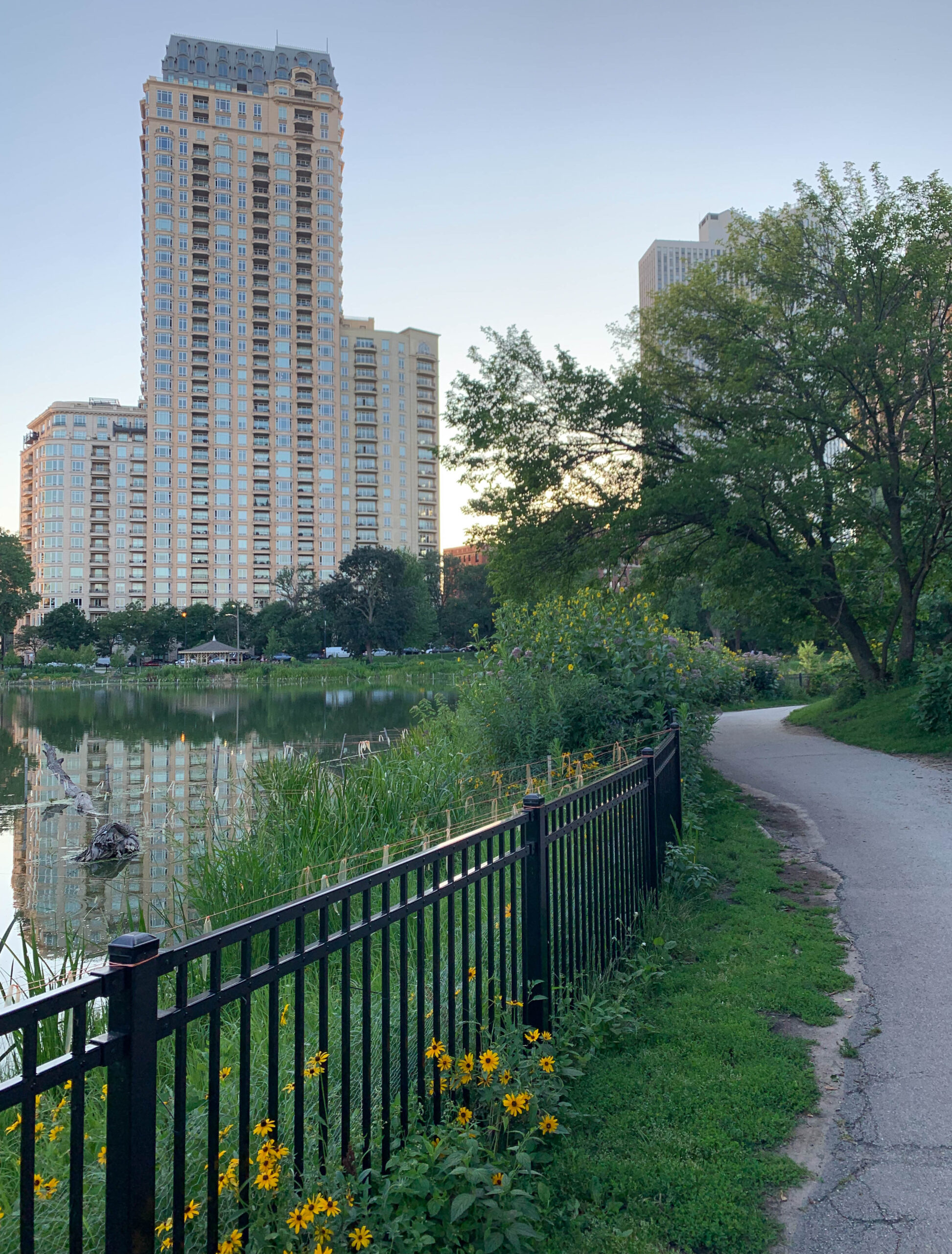 Understanding NORTH POND