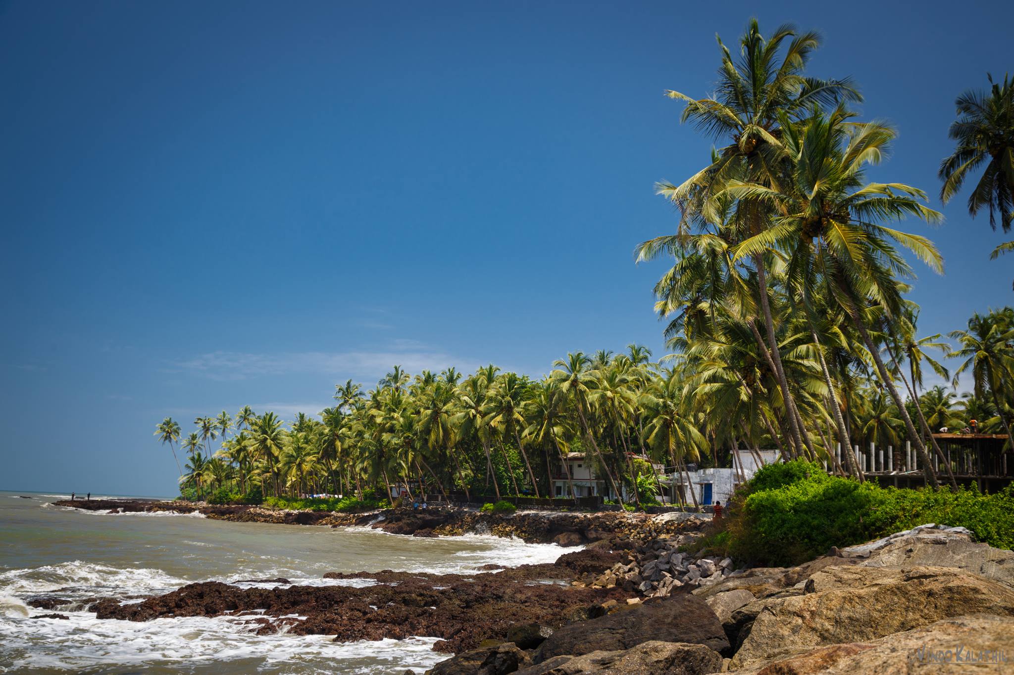 Understanding THATTU