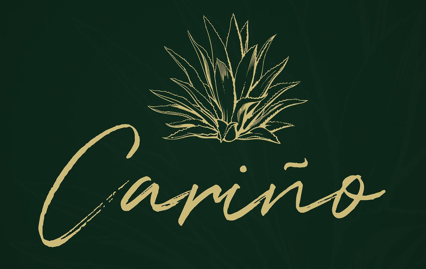 Understanding CARIÑO